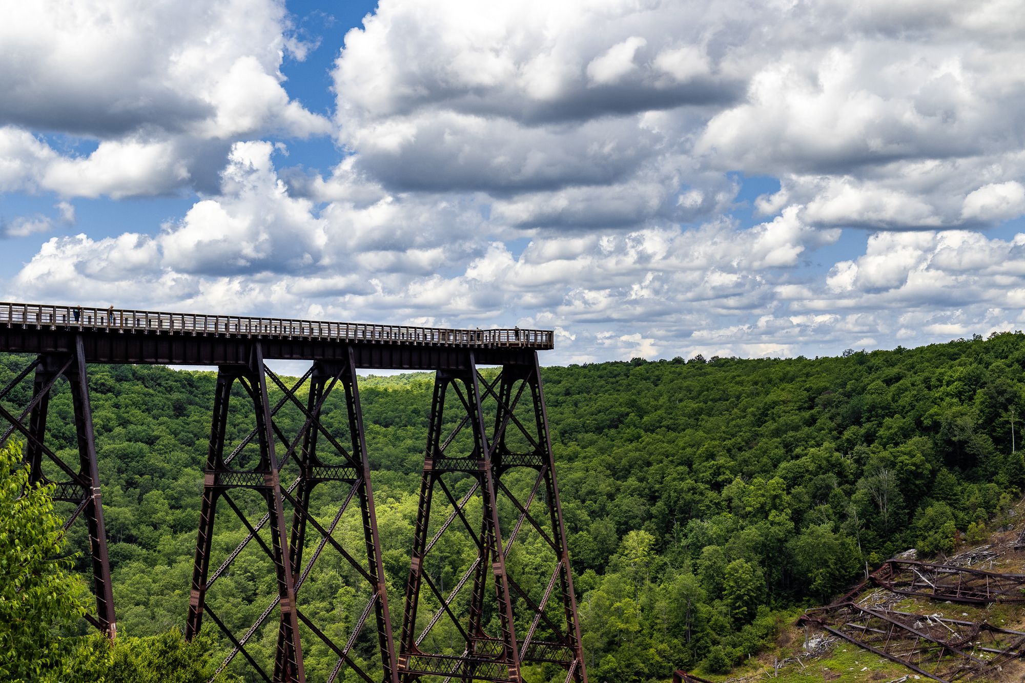 Kinzua Bridge State Park & Dam | Jerry Bellew - Wildlife & Nature ...