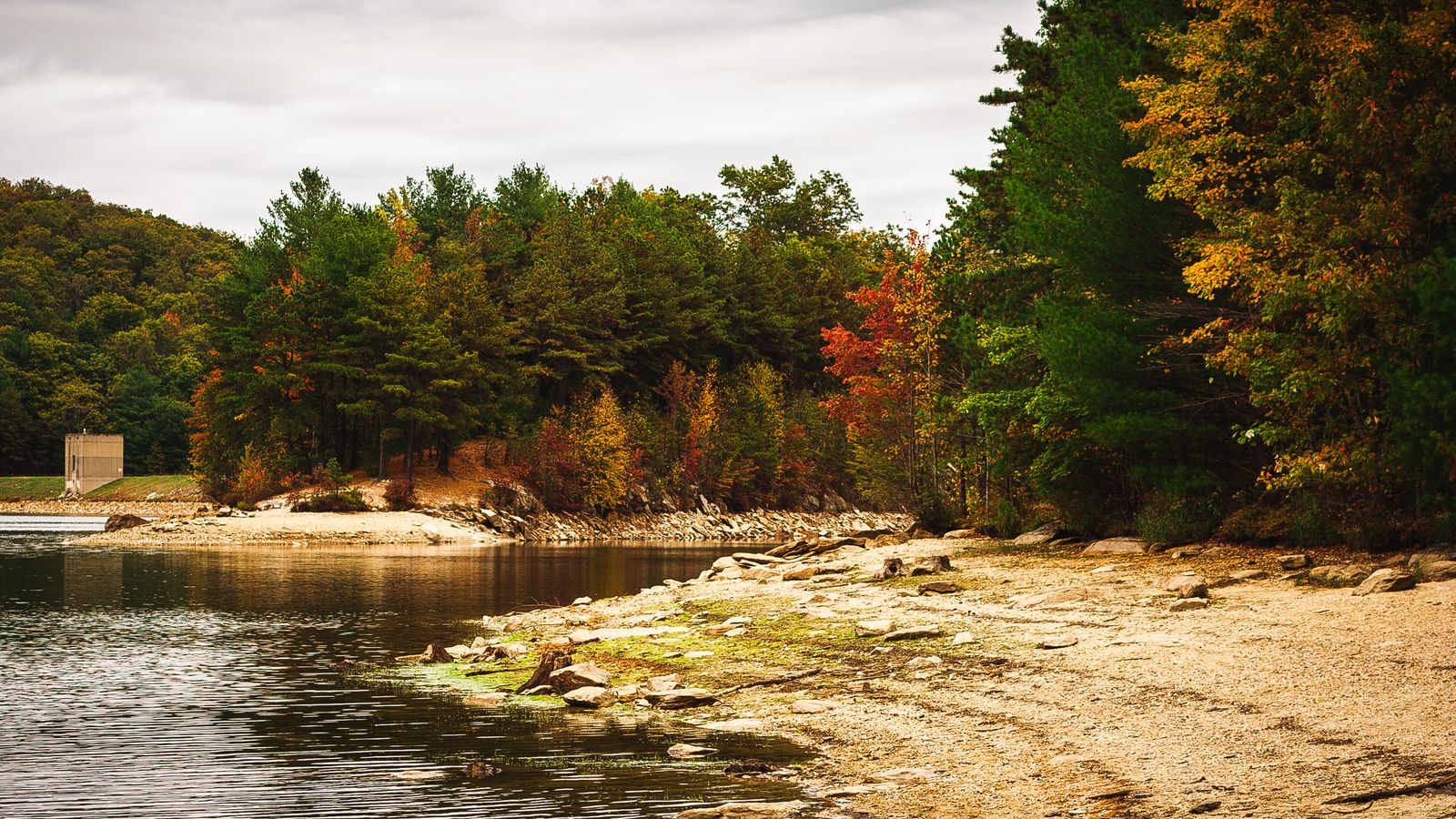 Long Pine Run Reservoir | Jerry Bellew - Wildlife & Nature Photography